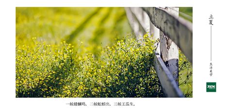 旅行诗文网 二十四节气立夏