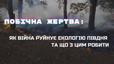 Побічна жертва Як війна руйнує екологію півдня та що з цим робити