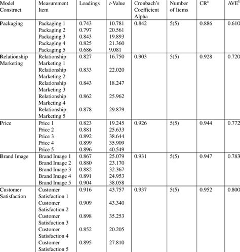 result of measurement model model constructs and reliability test