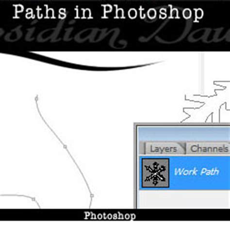 Photoshop Path Tutorials For Beginners PSDDude