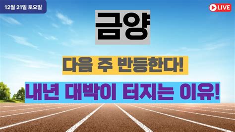 금양 다음 주 반등한다 내년 대박이 터지는 이유 Youtube