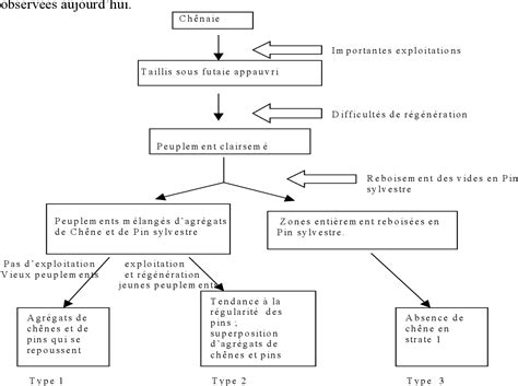 figure 4 11 from analyse de la structure spatiale des peuplements