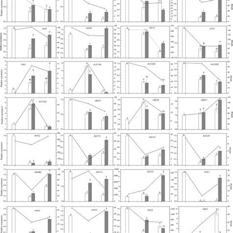 Validation For The Rna Seq Data Using Qrt Pcr The Qrt Pcr Data Were Download Scientific
