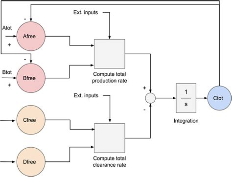 A Flow Diagram For The Cytomorphic Compiler The Compiler Processes The