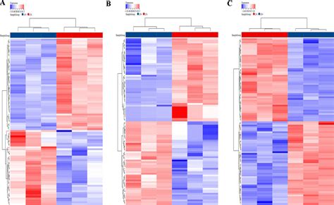 Heatmaps Of Differentially Expressed Rnas Between Aln Positive And