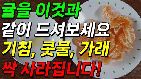 귤을 이것과 같이 드셔보세요 기침 콧물 가래 싹 사라집니다 감기 비염에 좋은 음식 Youtube