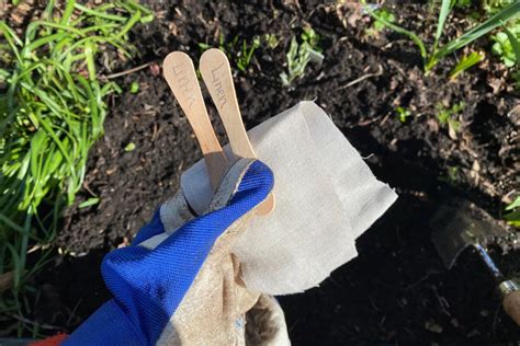 Does Your Soil Pass The Underwear Test