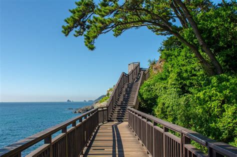 3 Days In Busan An Unforgettable Coastal Sojourn Agoda See The