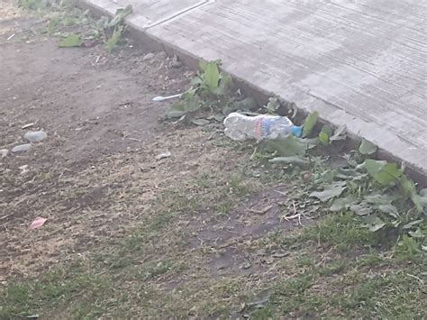 Colllage Gigital Alan Yahir Perez Rivera