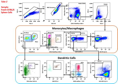 Cytek® Tonbo™ Mouse Tbnk Myeloid Treg Kit Cytek Biosciences