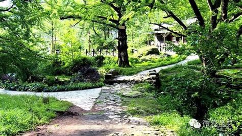微觀盤縣盤縣人民豪情滿懷迎國際峰會 每日頭條