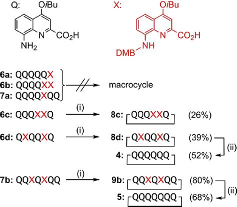 Scheme 2 Macrocyclization Of Quinolinecarboxamide Oligomers Of Download Scientific Diagram