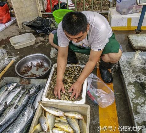 農村的情侶們勤勞樸實、夫唱婦隨，天天是七夕！ 每日頭條