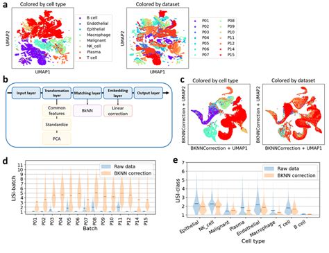 a umap representation of the nasopharyngal carcinoma datasets n 60