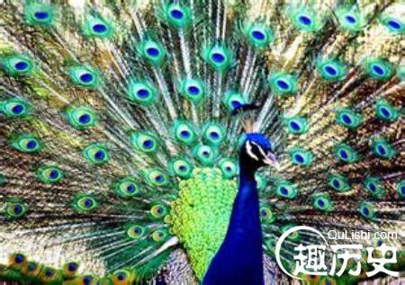 孔宣是誰為什麼能強到戰勝燃燈道人 每日頭條
