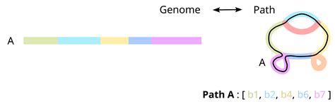 Building A Pangraph Pangraph Docs