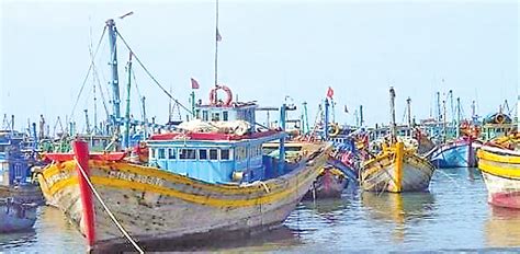 ဖျာပုံမြို့နယ်၌ ယခုနှစ် ငါးဖမ်းရာသီတွင် ကျော့ပိုက်ငါးဖမ်း စက်လှေအစင်းရေ တိုးချဲ့လုပ်ကိုင်လာ