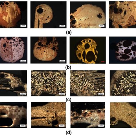examples of metallurgical micrographs used for parameters extraction download scientific