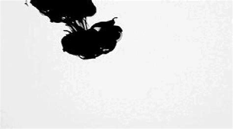 Github Hyeonho99video Motion Customization Vmc Video Motion