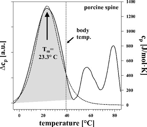 Figure 1 From The Effect Of Stretching On Nerve Excitability