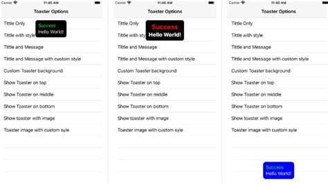 Toast IOS Example