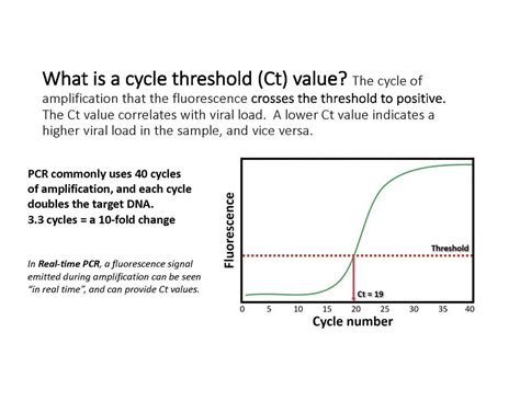 Your Complete Guide To Pcr Pcr Test And Rt Pcr Ct Value Results Cleadoc