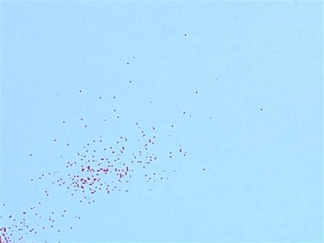 Video Flow Cytometric Analysis Of Bimolecular Fluorescence Complementation A High Throughput