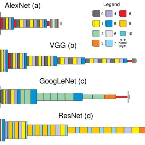 The Most Common Forms Of Chambers Arrangement In Foraminifera A Download Scientific Diagram
