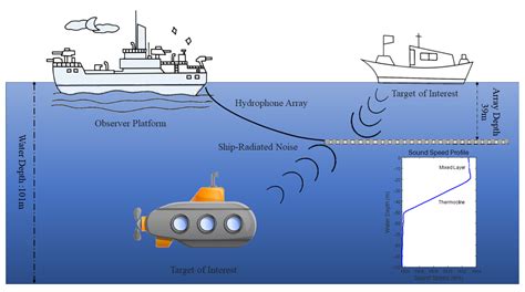 Adaptive Convolution Kernels Construction Based On Unsupervised Learning For Underwater Acoustic