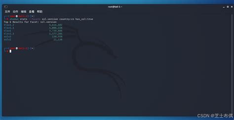 星河飞雪网络安全学习笔记 Shodan使用7(完结) Csdn博客 星河飞雪网络安全学习笔记 Shodan使用7(完结) Csdn博客