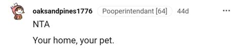 Redditor Wonders If They Were Wrong To Rescue Stray Cat Despite Their Moms Severe Cat Allergy