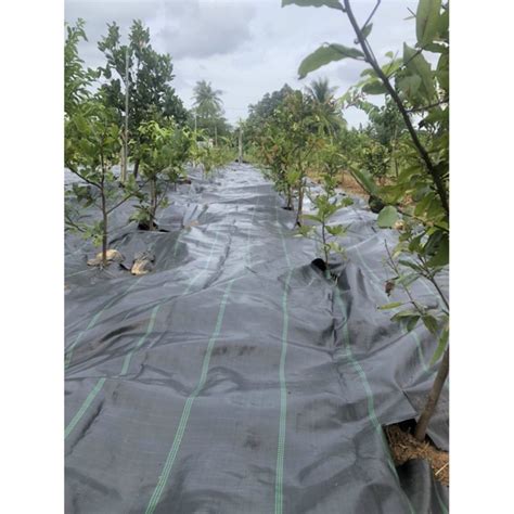 T Ng Ghim B T B T Ph Ch Ng C Kh M H Ng Xu T Kh U B N Theo M D I Shopee Vi T Nam