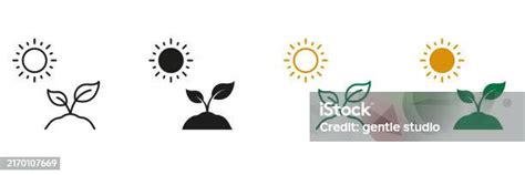 태양과 식물 나무의 성장 선과 실루엣 아이콘 세트 유기 잎 환경 농업 그림 친환경 식물 기호입니다 원예 표시입니다 편집 가능한 획 고립된 벡터 일러스트 레이 션 0명에 대한