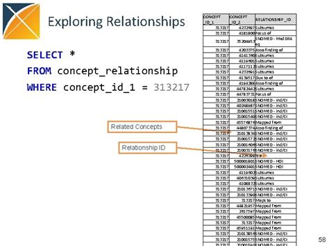 omop common data model and standardized vocabularies 11