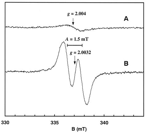 Epr Spectra Of Suspensions Of Cells Of Strain Hxn1 Grown Anaerobically