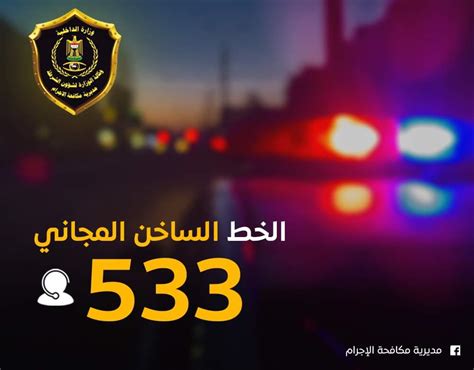 مكافحة الإجرام تقبض على متهمة بسرقة 10 آلاف دولار وآخر بسرقة عجلتين في