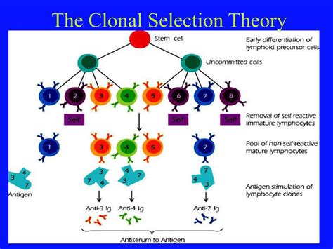 Ppt Immunology Overview Powerpoint Presentation Free Download Id655228 Ppt Immunology Overview Powerpoint Presentation Free Download Id655228