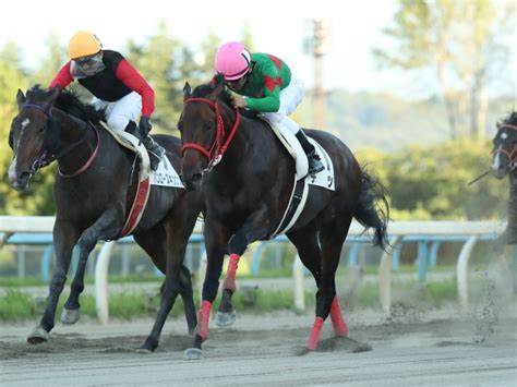【金沢・mro金賞】兵庫のテツが早め先頭から押し切りv地方競馬レース結果 競馬ニュース