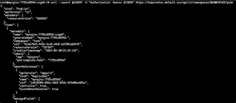 How To Communicate With The Kubernetes Api Api Server