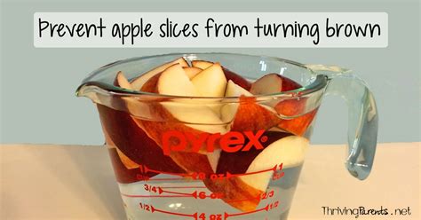 Prevent Apple Slices From Turning Brown Thriving Parents