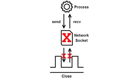 sockets close vs shutdown baeldung on computer science