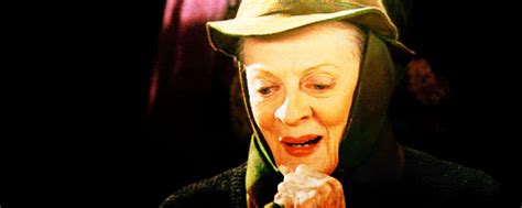 mrw i just got my dream job on imgur