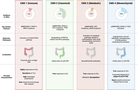 Colorectal Cancer Immunotherapy State Of The Art And Future Directions