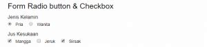 Form Radio Button Dan Checkbox Framework Foundation Malas Ngoding