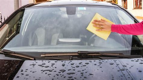 How To Get Tree Sap Off A Windshield Hunker