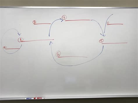 Zygotic Meiosis Diagram Quizlet Zygotic Meiosis Diagram Quizlet