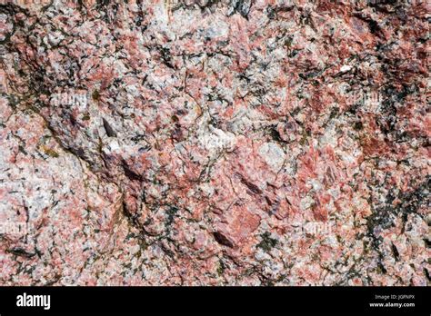 Pegmatite Holocrystalline Intrusive Igneous Rock Showing Grain Structure And Texture Stock