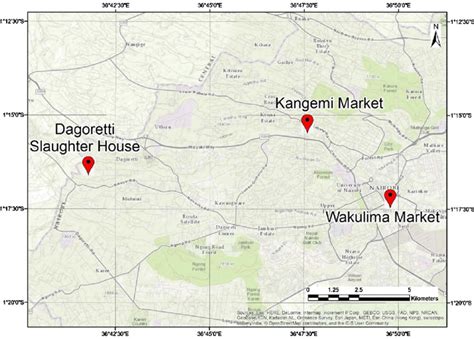 A Map Of The Sampling Points Download Scientific Diagram