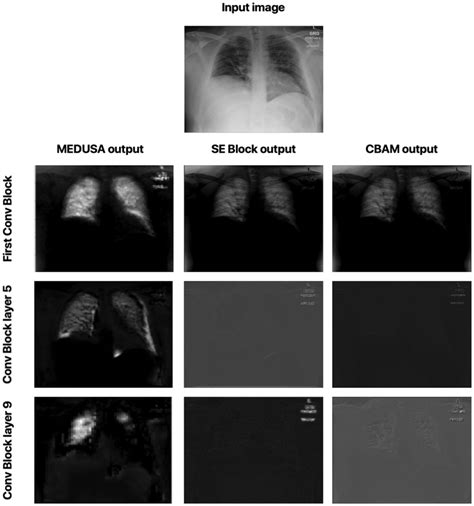 Comparison Between Attention Enforced Outputs At Different Download Scientific Diagram