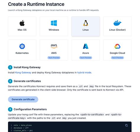 Implementing A Hybrid Kong Konnect Data Plane In Amazon Ecs Kong Inc